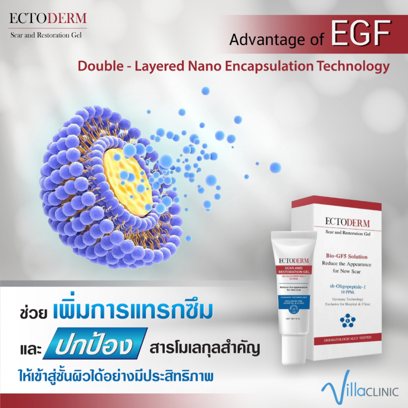 Ectoderm Scar and Restoration Gel (10g) Bio-GF5 Solution – Villa Clinic